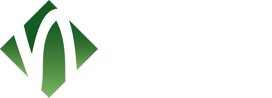 NEOS IT Services